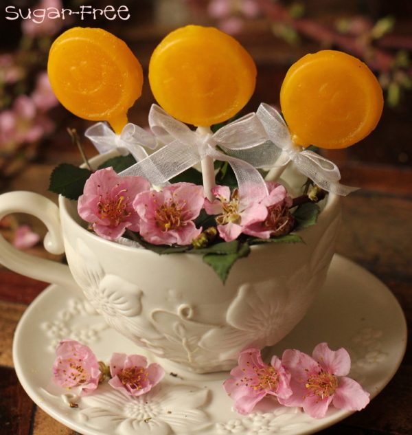 Sugar Free Suckers, low carb suckers, healthy suckers, xylitol suckers