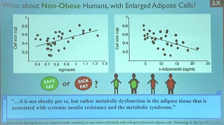Lipolysis and Why You Can Gain Weight Eating Too Much Fat - Maria Mind ...
