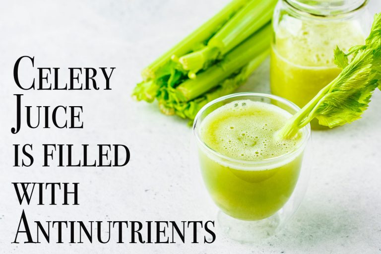 ANTINUTRIENTS - Maria Mind Body Health