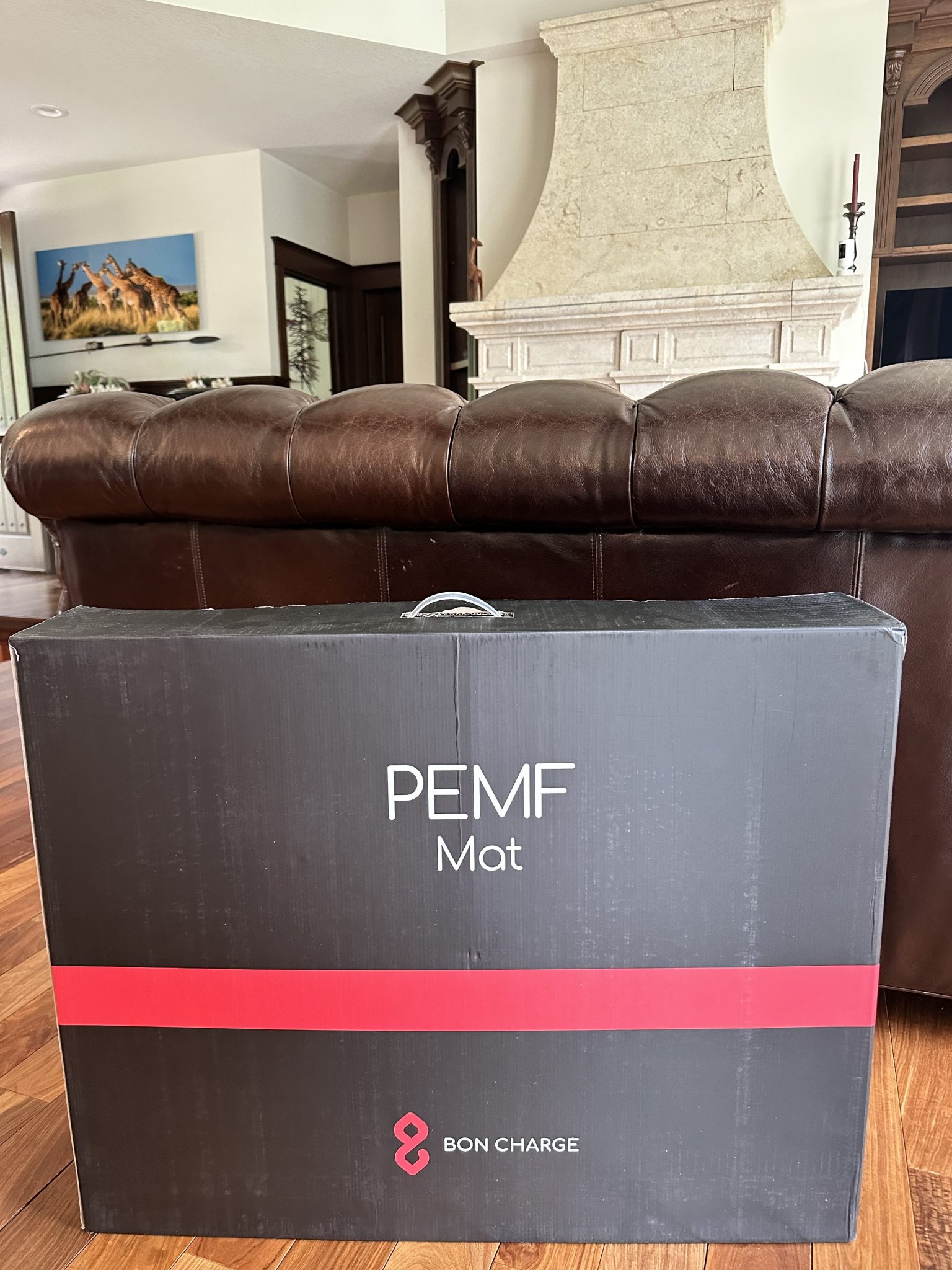 PEMF Mat Testimonials - Maria Mind Body Health